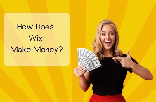 How Does Wix Make Money? | Wiksit