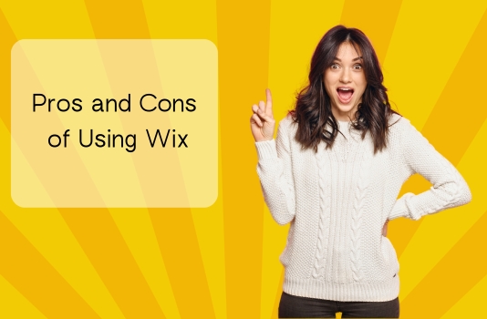 Pros and Cons of Using Wix | Wiksit